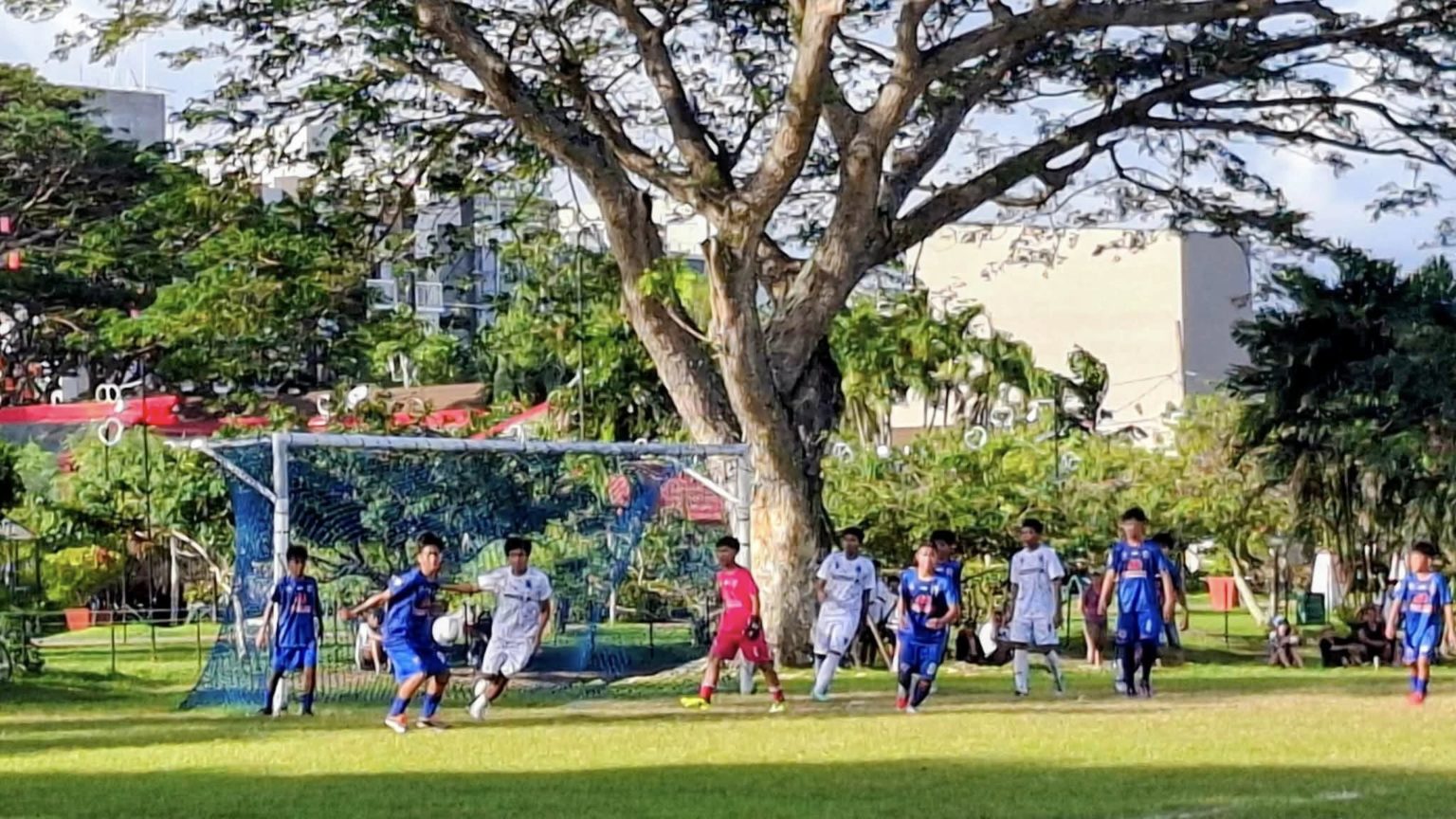 NORFA ON TOP - Negros Daily Bulletin